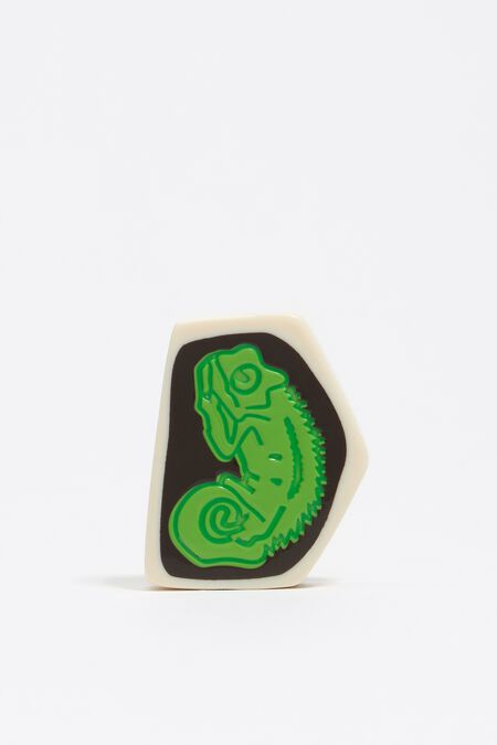 Resin chameleon charm